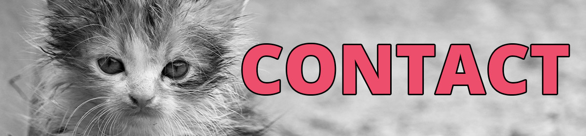 Contact MAL Today | Monroe Animal League